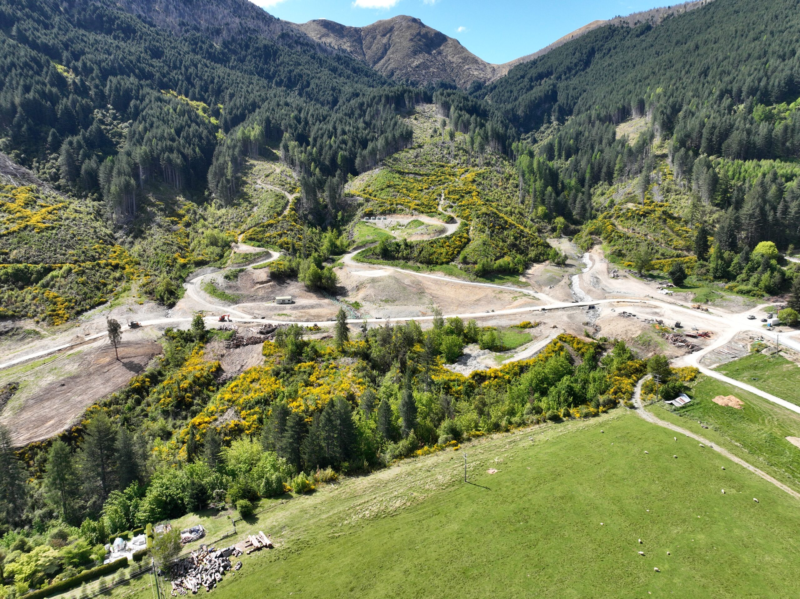 Wilson Bay Estate - Patch Landscape